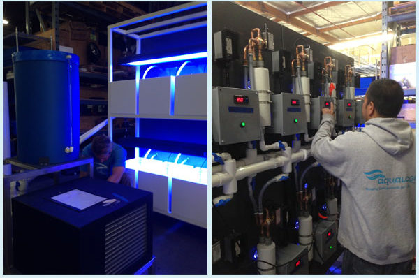 Commissioning a Sequence® 1000 Servicing the Smithsonian | MDM, Inc.