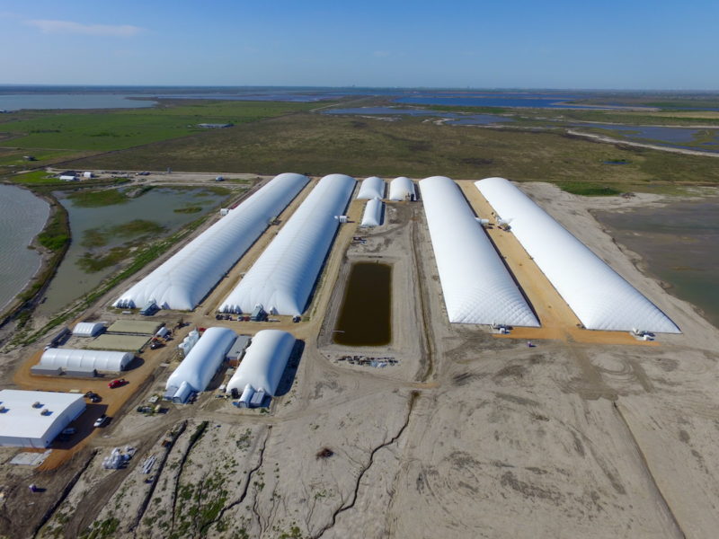 South Texas Shrimp Farm | MDM, Inc.