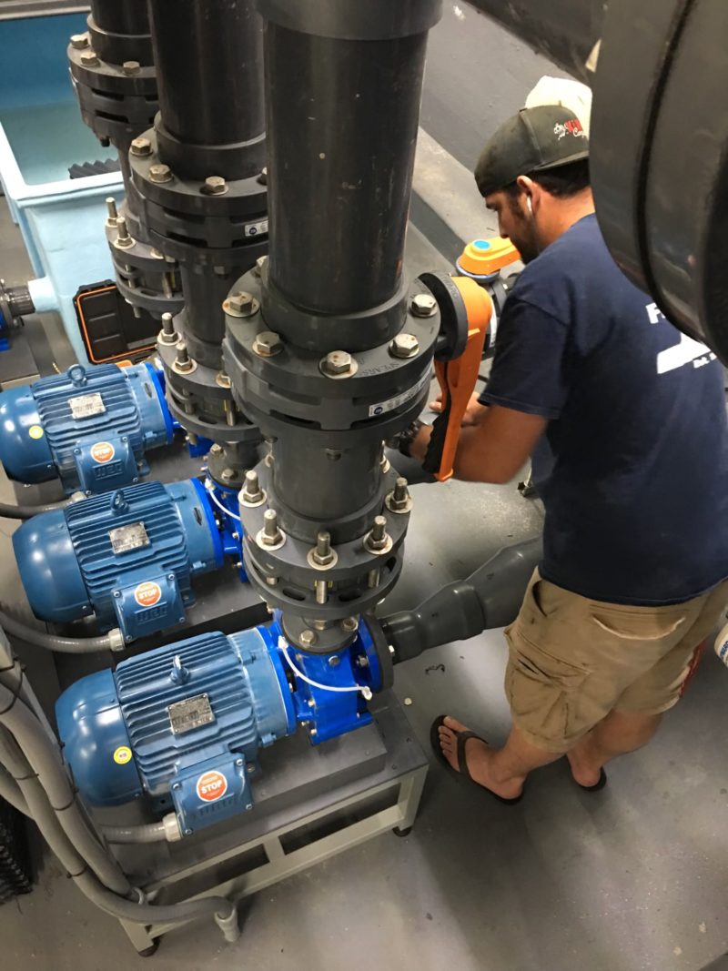 Blacktip Shark Reef Exhibit | MDM Pumps