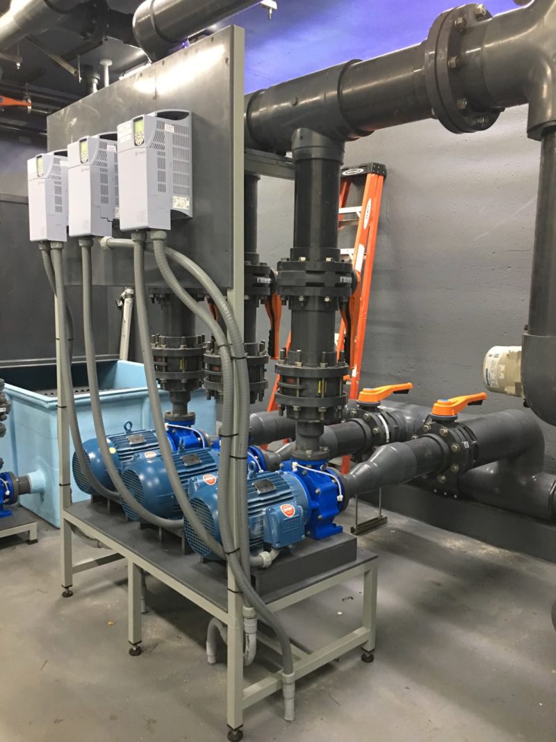 Blacktip Shark Reef Exhibit | MDM Pumps