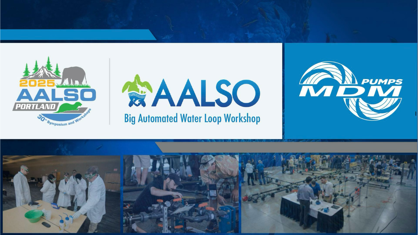 Verbetering van de ondersteuning van het aquatische leven door middel ...