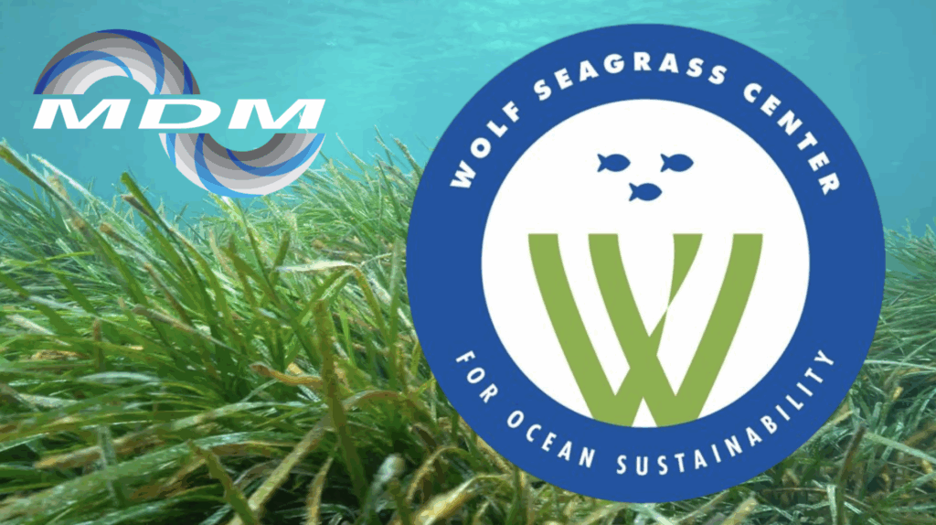 MDM Pumps Power Mote Seagrass Restoration Research | MDM, Inc.
