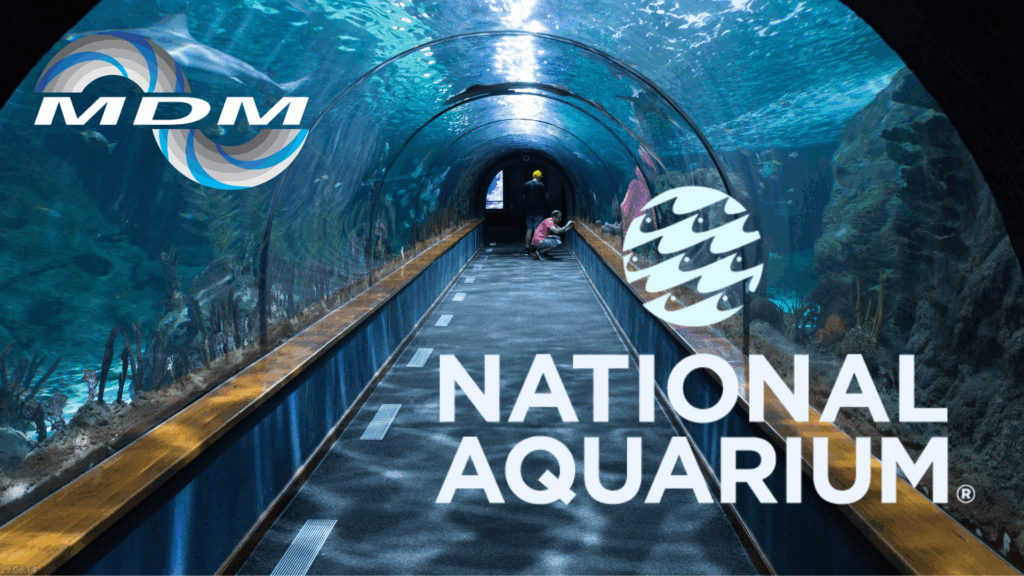 MDM Pumps Power National Aquarium Q-Tank | MDM, Inc.